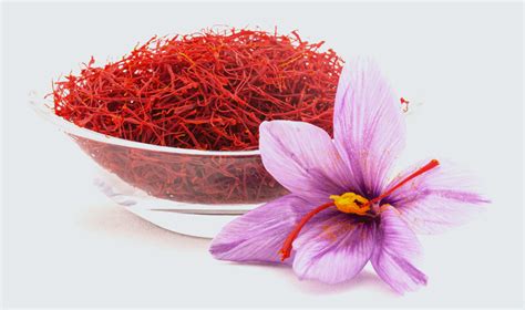 About Saffron Tech Saffron Tech