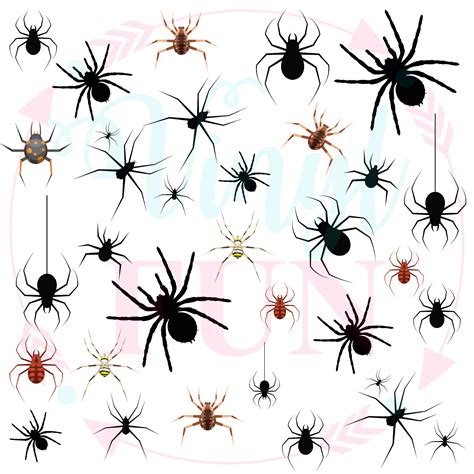 Spider Elements Vinyl Fun