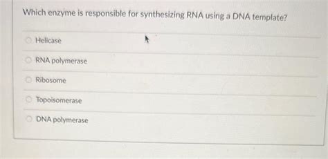 Solved Which Enzyme Is Responsible For Synthesizing Rna