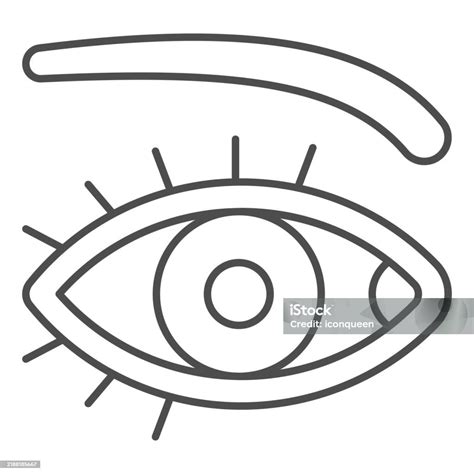 눈과 눈썹 얇은 선 아이콘 광학 및 인간의 시력 개념 벡터 그래픽 흰색 배경에 비전 기호 모바일 또는 웹 디자인을위한 윤곽선 스타일 아이콘 고등학교 이하에 대한 스톡 벡터