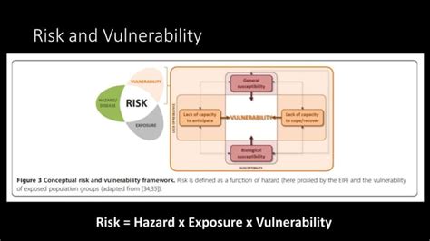 Vulnerability Mapping Vulnerability Assessment Pptx