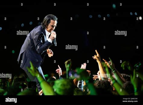 The Exhibition Of Nick Cave And The Bad Seeds At Rock En Seine Festival
