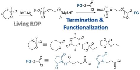 Polymers Special Issue Controlled Polymerization