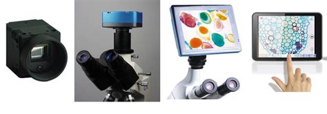 Microscope USB Camera Caltex Digital Microscopes