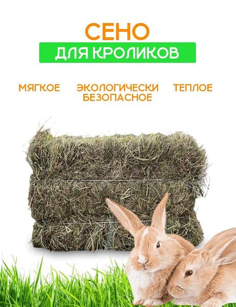 Сено для кроликов подстилка корм тюк 15 кг - купить с доставкой по ...