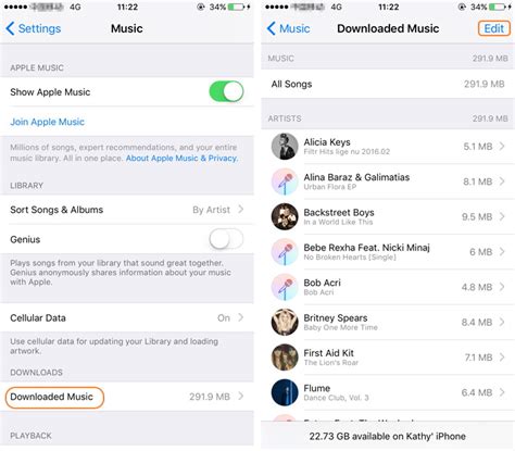 Easy Ways To Delete Songs On IOS 10 For IPhone IPad And IPod Touch