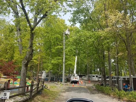 Professional Tree Service Photo Gallery Shannon Sons Tree Service