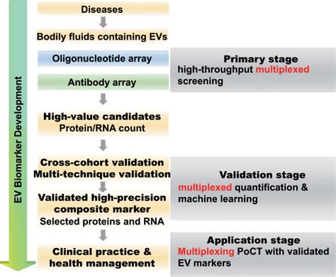 Multiplexed Profiling Of Extracellular Vesicles For Biomarker Development Pmc