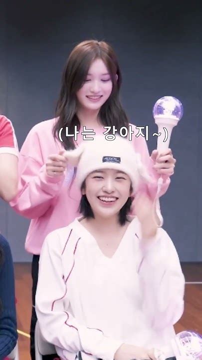 안유진 강아지 모자로 장난치는 이서ㅋㅋㅋㅋ 아이브 반려견 안댕댕 Youtube