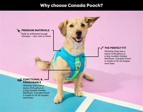 Shop Canada Pooch Australias 1 Pet Store Pet Circle