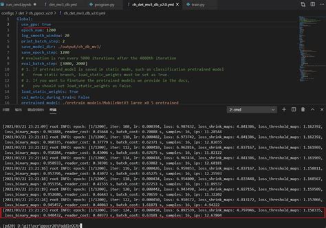 动态图版本训练一个epoch自动停止 · Issue 2324 · Paddlepaddlepaddleocr · Github