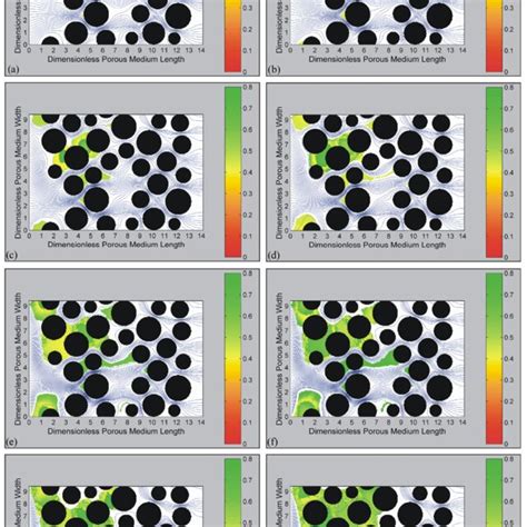 Selected Snapshots Of The Spatiotemporal Evolution Of The Biofilms And Download Scientific