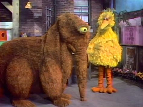 Snuffy Sesame Street Eyes