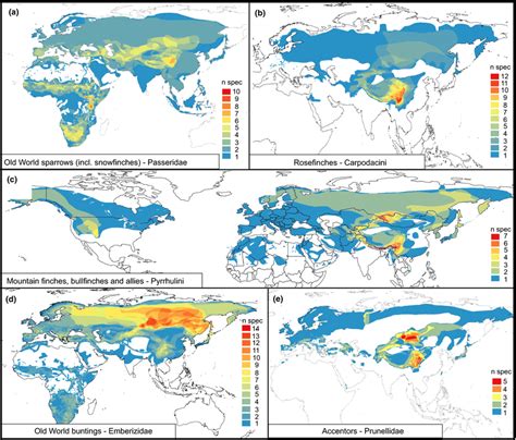 Spatial Distribution Of Species Richness And Diversity Hotspots For All Download Scientific