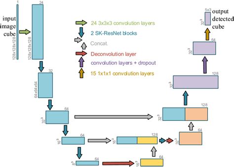 Pulmonary Nodule Detection Network Of Lungseek Download Scientific Diagram