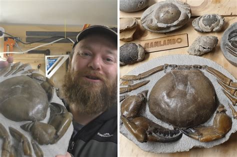 Man Finds A 50 Pound Crab Fossil Concretion Spends Over 200 Hours Exposing It Rock Seeker