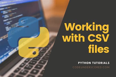 Python Set Update Explained With Examples Code Underscored
