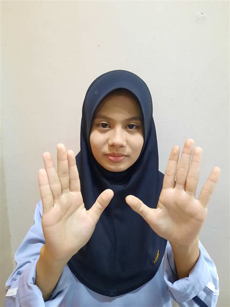 Bsl Testing Object Detection Dataset And Pre Trained Model By Cs230