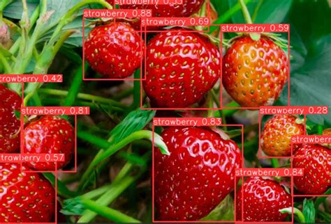 Atkuri Vinay On Linkedin Aimers Aimerssociety Objectdetection