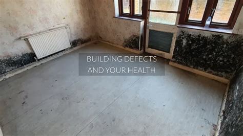 New Book Presents Building Defects And Health Issues