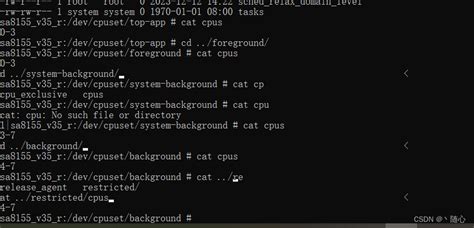 Android核绑定cpuset配置与检测进程所在核cpuset方法cpuset Top App Csdn博客