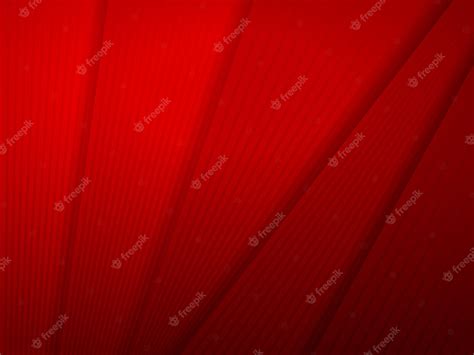 Premium Vector Abstract Lines Background