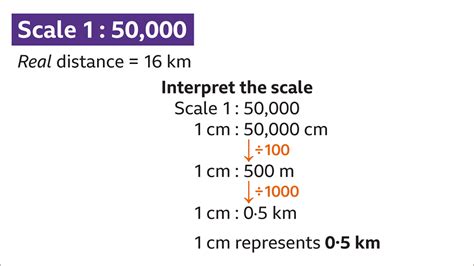 Ratio Scale