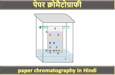 पपर करमटगरफ Paper chromatography in Hindi THE INSTRUMENT GURU