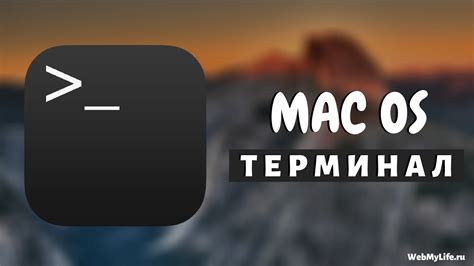 Изменить дату через терминал Mac Os Изменить дату через терминал Mac Os