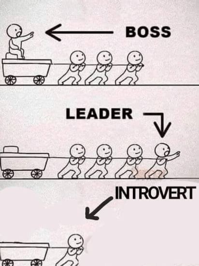 30 Introvert Memes For Shy Leaders Who Never Wanted To Be The Boss But