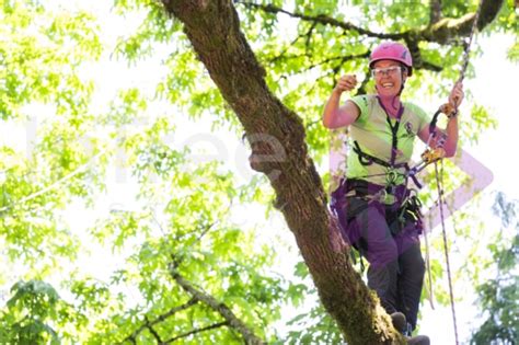 Arborist Tree Climbing Competition Arborist Stock Photo 001 23 0277 InTree Stock Arborist