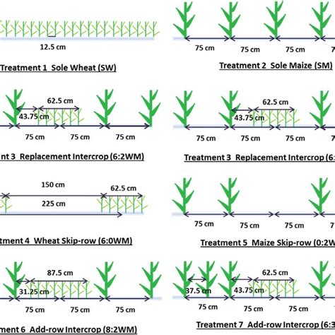 Pdf Intercropping With Wheat Lowers Nutrient Uptake And Biomass