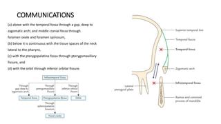 INFRATEMPORAL FOSSA Pptx