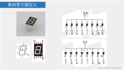 静态数码管显示 动态数码管显示——“51单片机” 单片机静态数码管显示代码 csdn博客