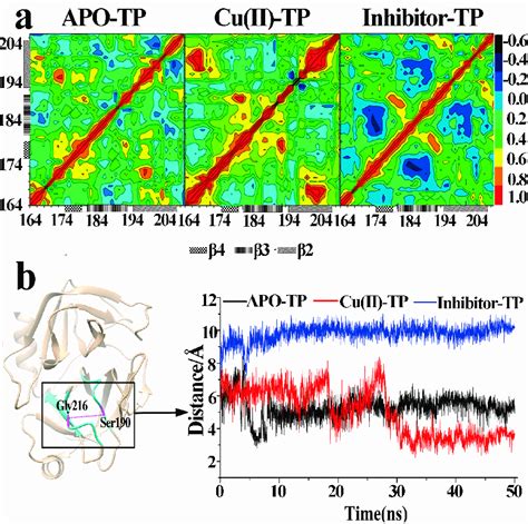 Dynamical Cross Correlation Maps And Distance Fluctuation Plot A