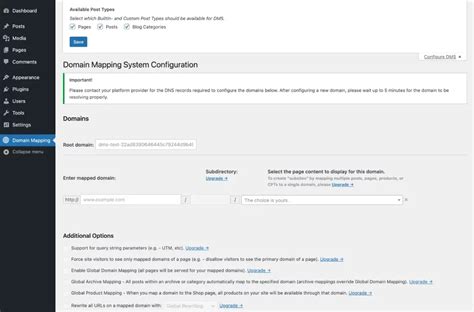 How To Add Custom Domains To Your WordPress SaaS