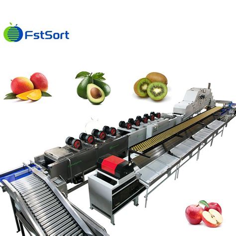 Avocado Washing Drying Waxing Sorting Packaging Machine For Sale Citrus Sorting Equipment