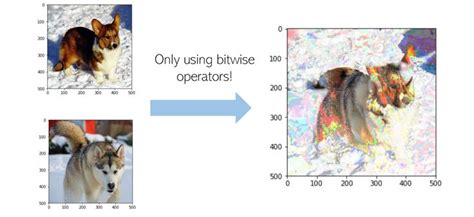 Altering And Merging Photos With Python Bitwise Operators Photo