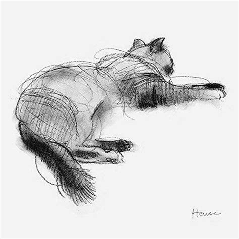 Sleeping Cat Sketch Blank Inside Greeting Card All Occasions Ebay