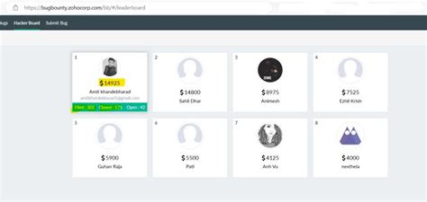 Vulnerability Bogbounty Bounty Bugbounty Vulnerability Security