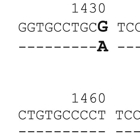 alignment of the partial intron 3 sequence of the novel download