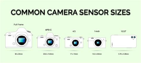Camera Sensor Sizes Explained Full Frame Vs APS C