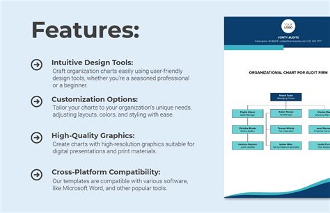 Organizational Chart For Audit Firm Template In Word Download