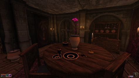 openmw 11 06 23 22 58 m4n3 tamriel rebuilt