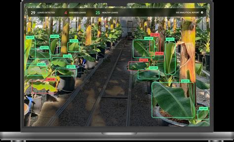 Computer Vision For Agriculture Timspark