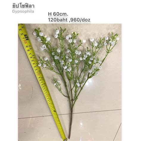 Assorted Flower Flowergallery