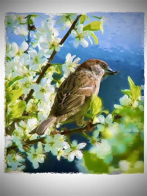 Птица на ветке Птицы вестники весны