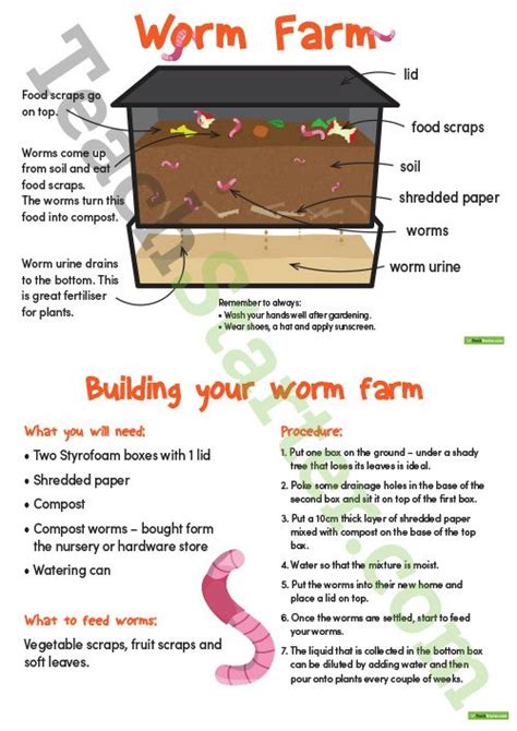 Worm Composting Diagram How To Start A Worm Bin 🪱 Fabricpot Worms