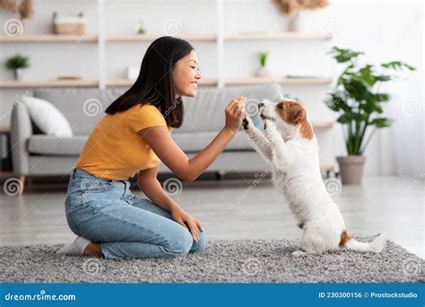 Dona Fêmea Dando Guloseimas A Cão De Pé Sobre As Patas Traseiras Foto