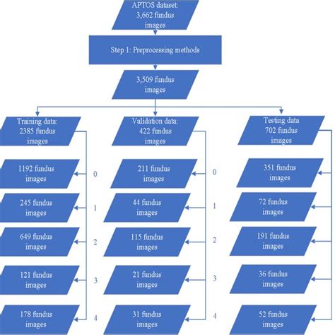 Fundus Images In Aptos 2019 Dataset Download Scientific Diagram